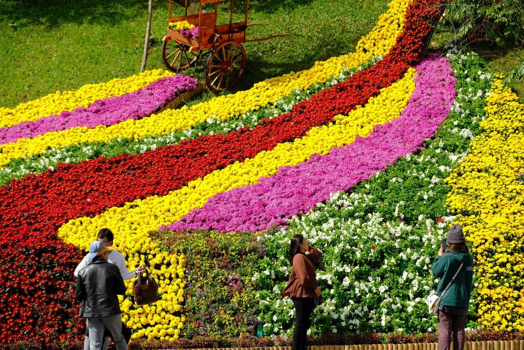 Ouverture du 9e Festival des fleurs de Dà Lat