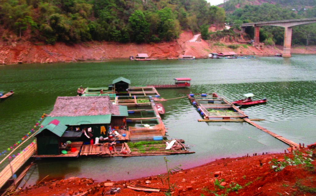 La pisciculture dans les lacs-réservoirs, un modèle efficace à Thanh Hoa