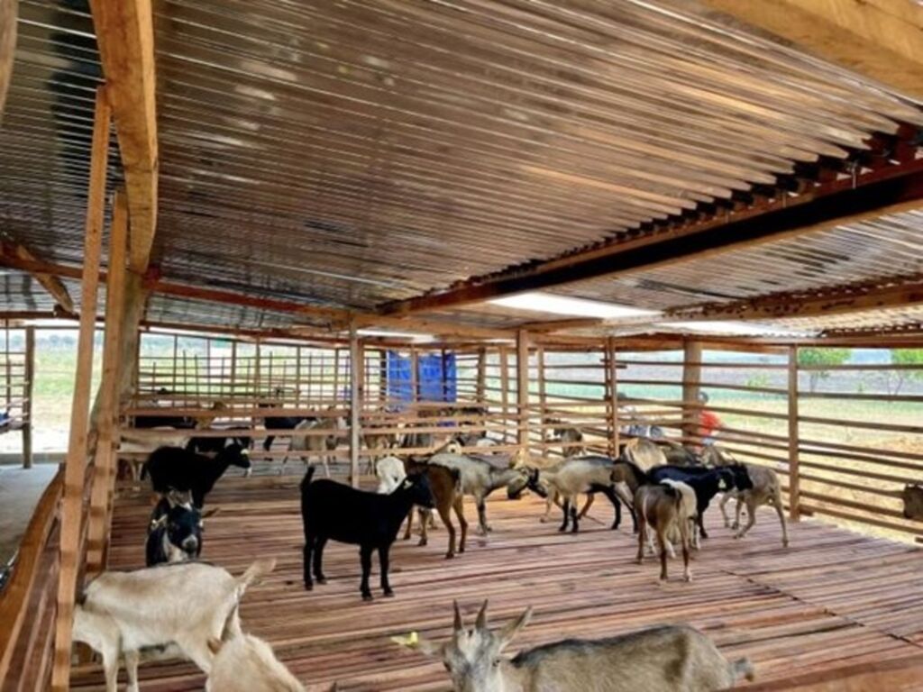 Introduire l’agriculture et la culture vietnamiennes en Angola